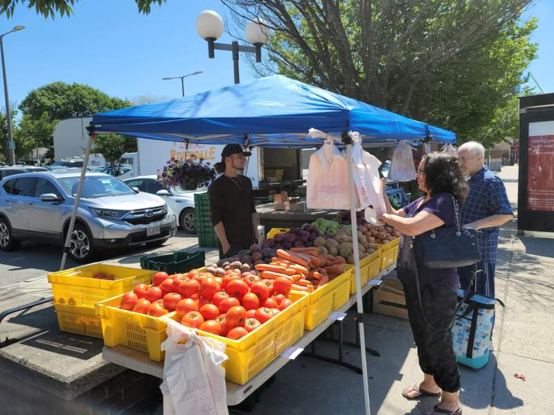 South Boston Farmers Market Opens June 5 – South Boston Online
