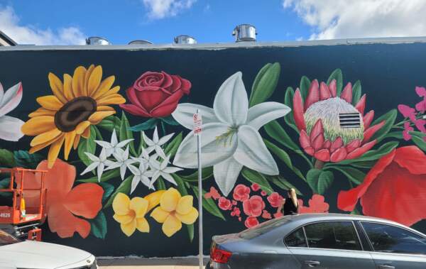 Floral Mural Transforms Andrew Square Wall into a Celebration of ...